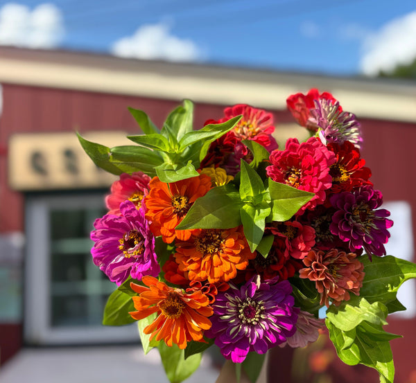 CSA - Cut Flower Share - Wilson Farm